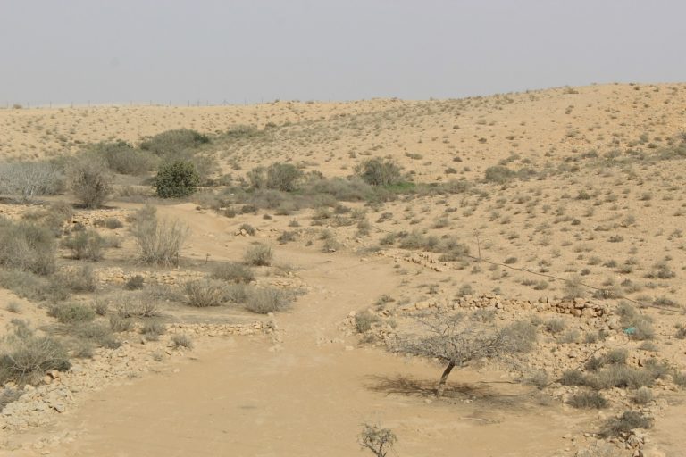 A Local's Guide to the Negev Highlands. - Visitingnegev.com