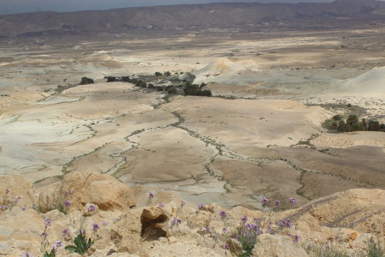 Hiking in the Negev - A Local's Guide to the Negev Highlands.
